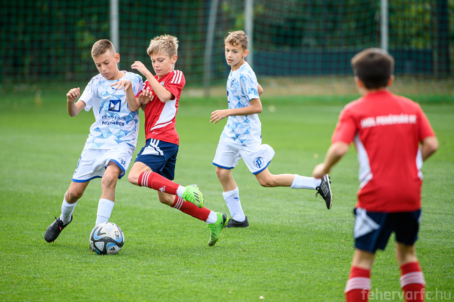 Fehérvár FC