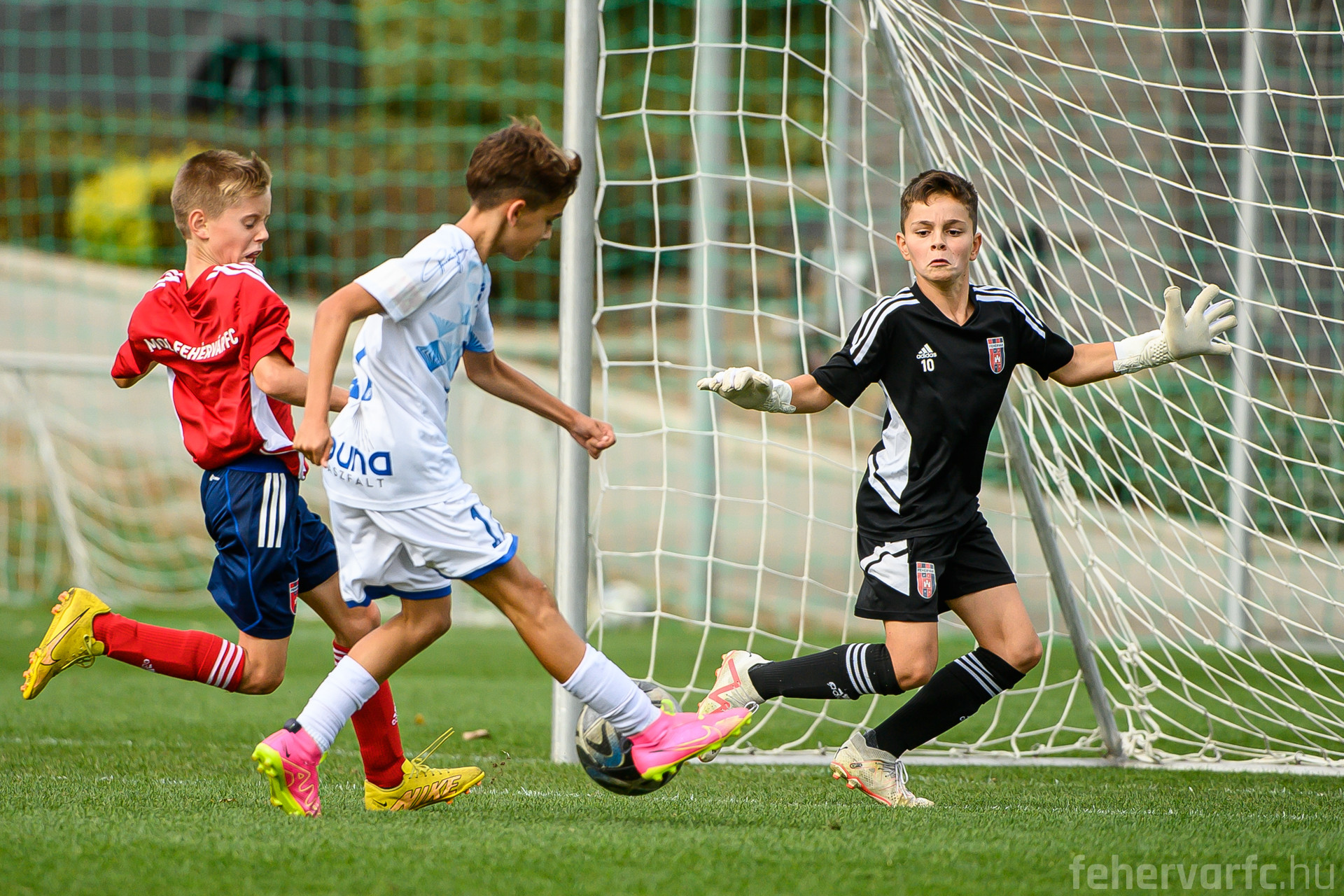 Fehérvár FC